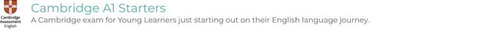 Cambridge Starters | One World Learning